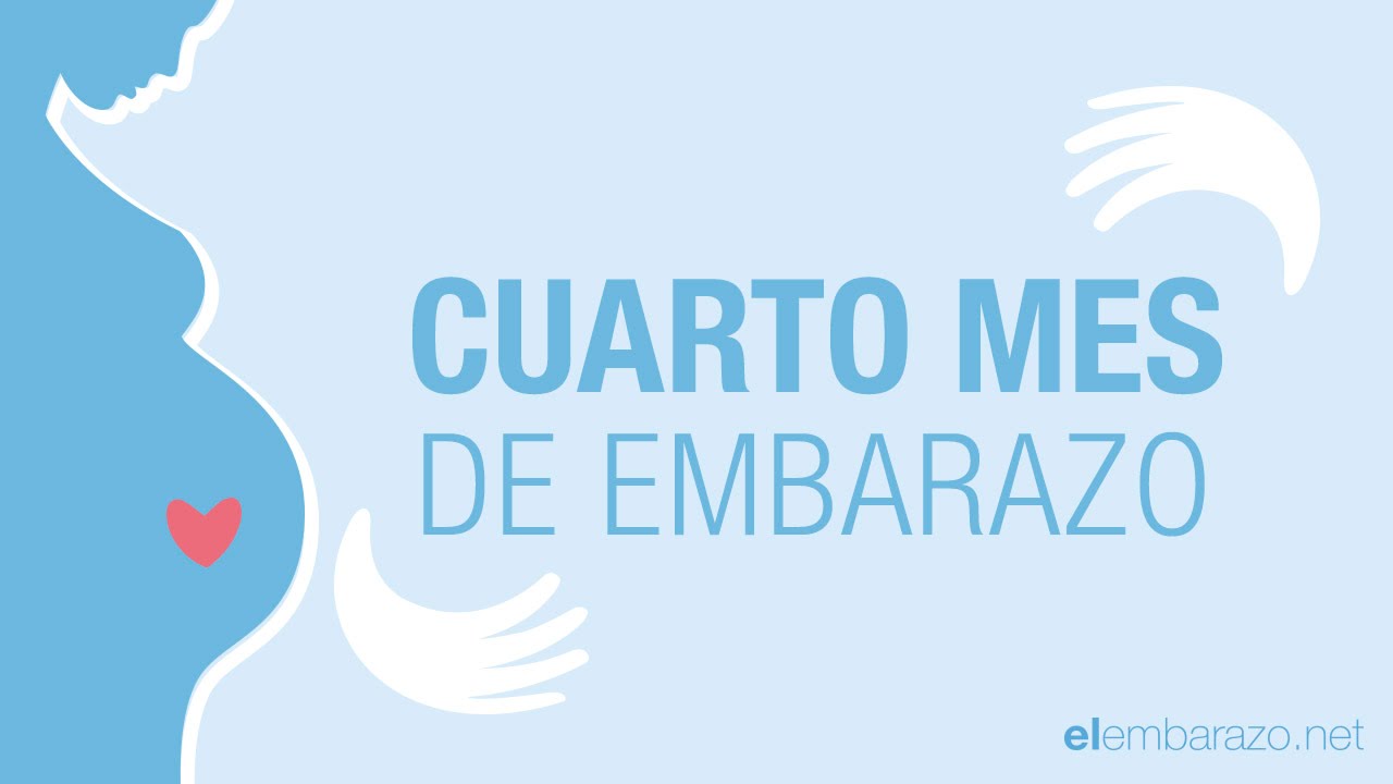Descubre cómo se siente el vientre durante el primer mes de embarazo ...