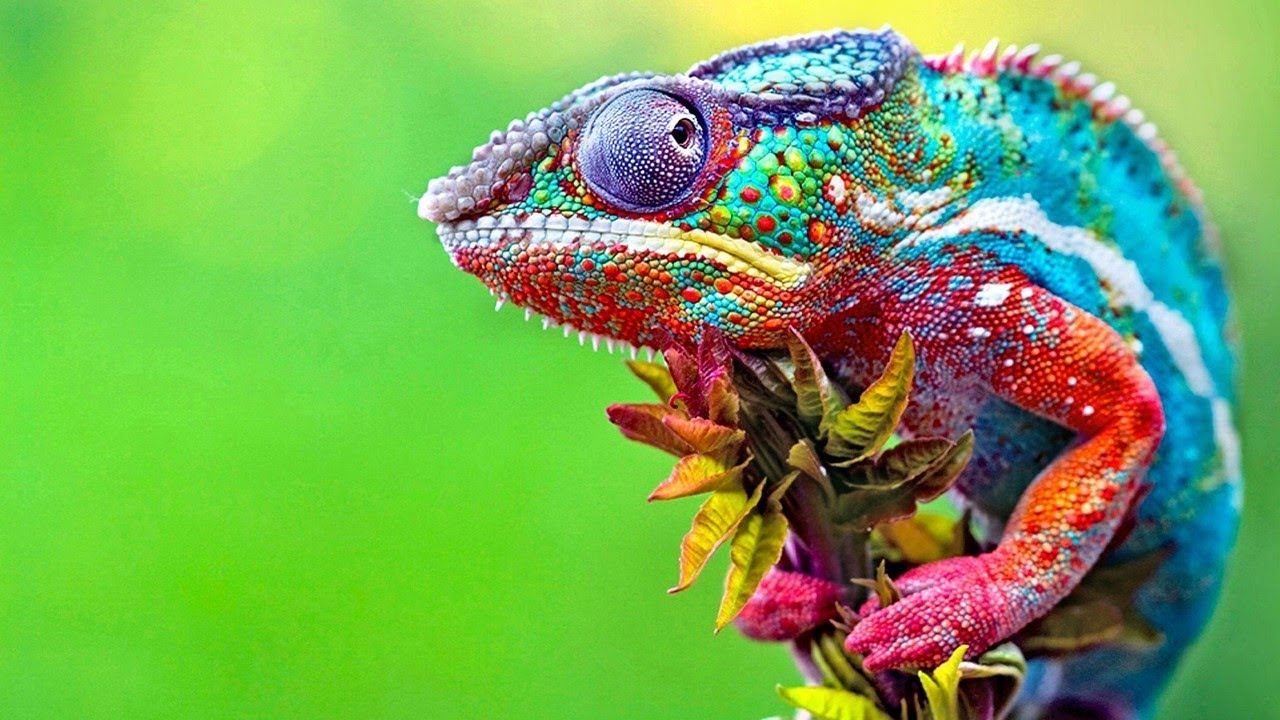 Ciencia - Todo sobre Cuidado Infantil